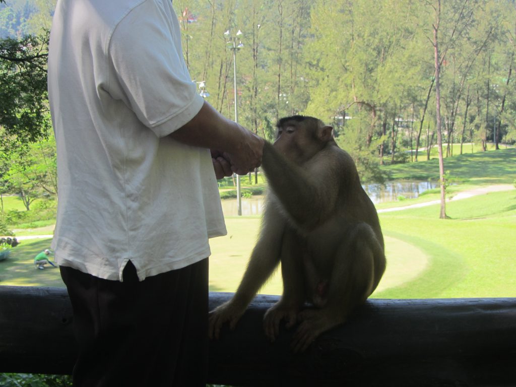Gallery - Animal Neighbours Project